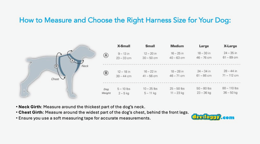 A Quick Guide to Dog Harnesses: And Tips for the Perfect Fit – DeeDoggy